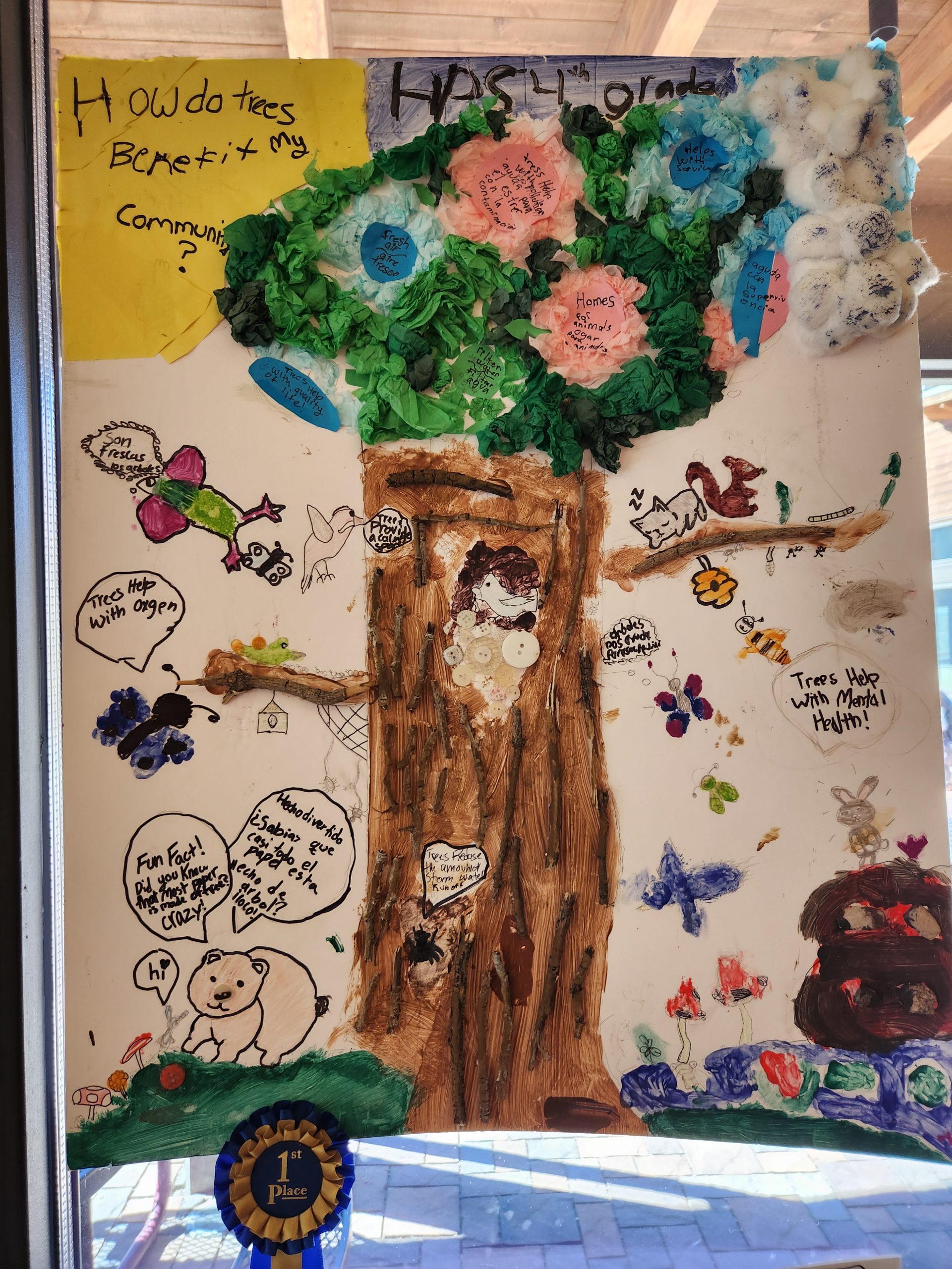 Local classrooms celebrate the beauty and importance of trees in Arbor ...