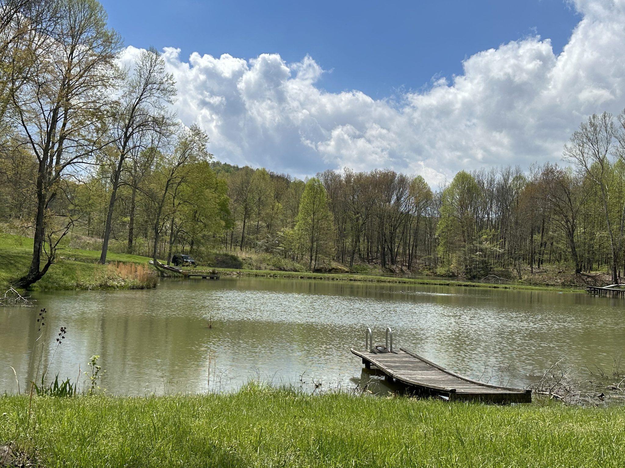 Salomone: Bluegills and fly rods. | VailDaily.com