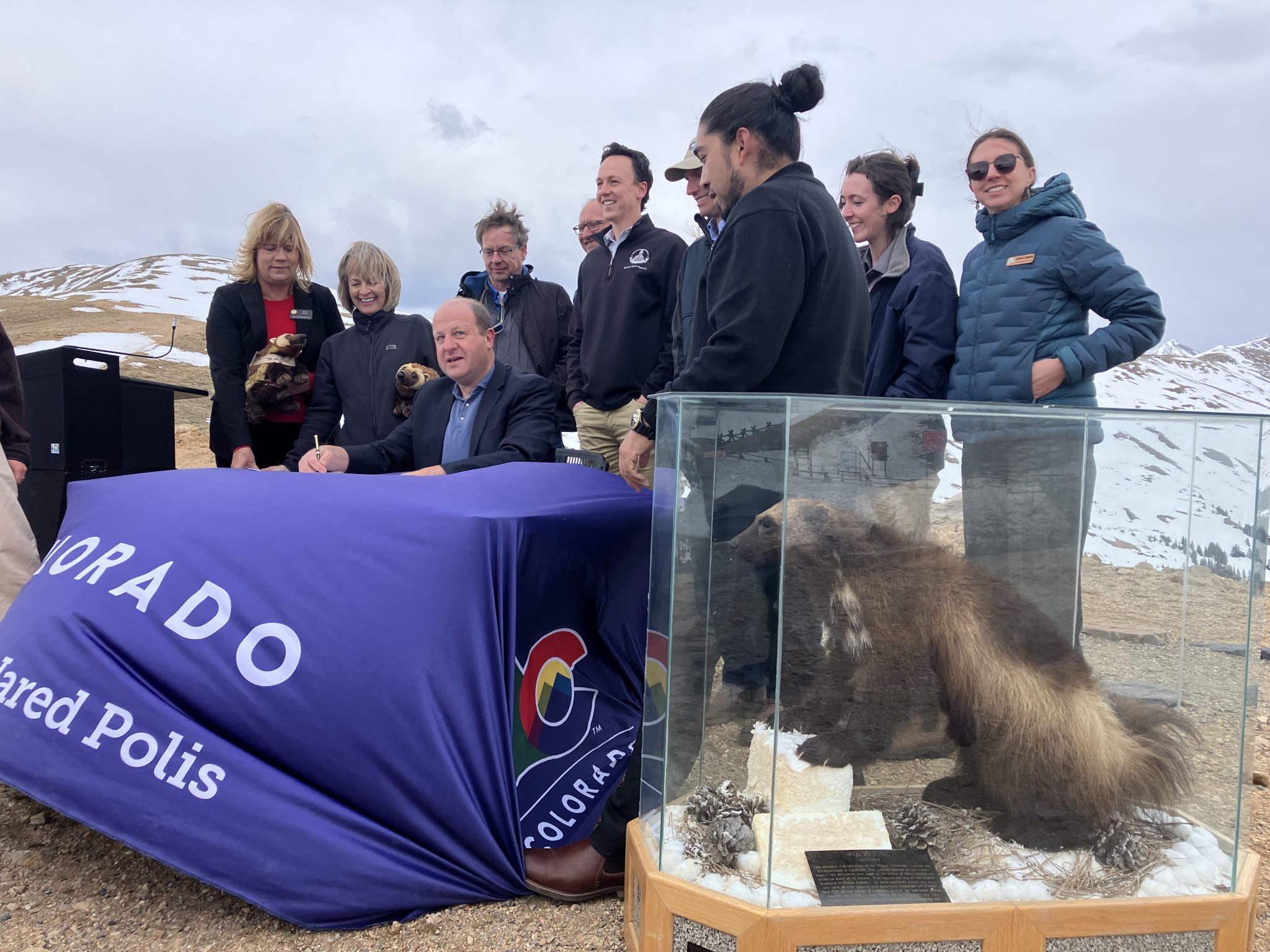 Wolverines once roamed Colorado’s alpine, boreal forests, and tundra ...