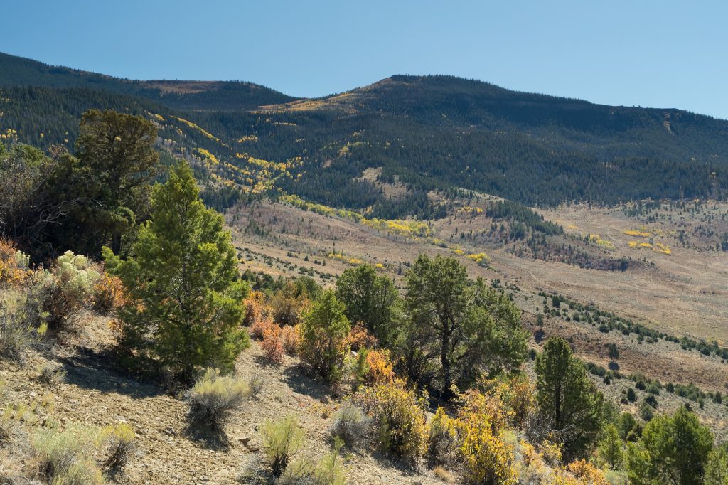 Trust Our Land: Eagle Valley Land Trust is here to support landowners ...