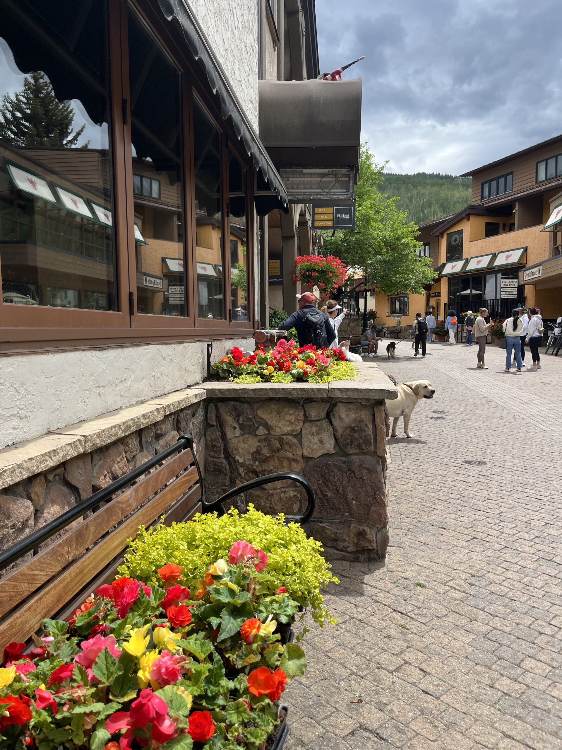 Vail is blossoming as its flower crew rolls out pops of color for ...