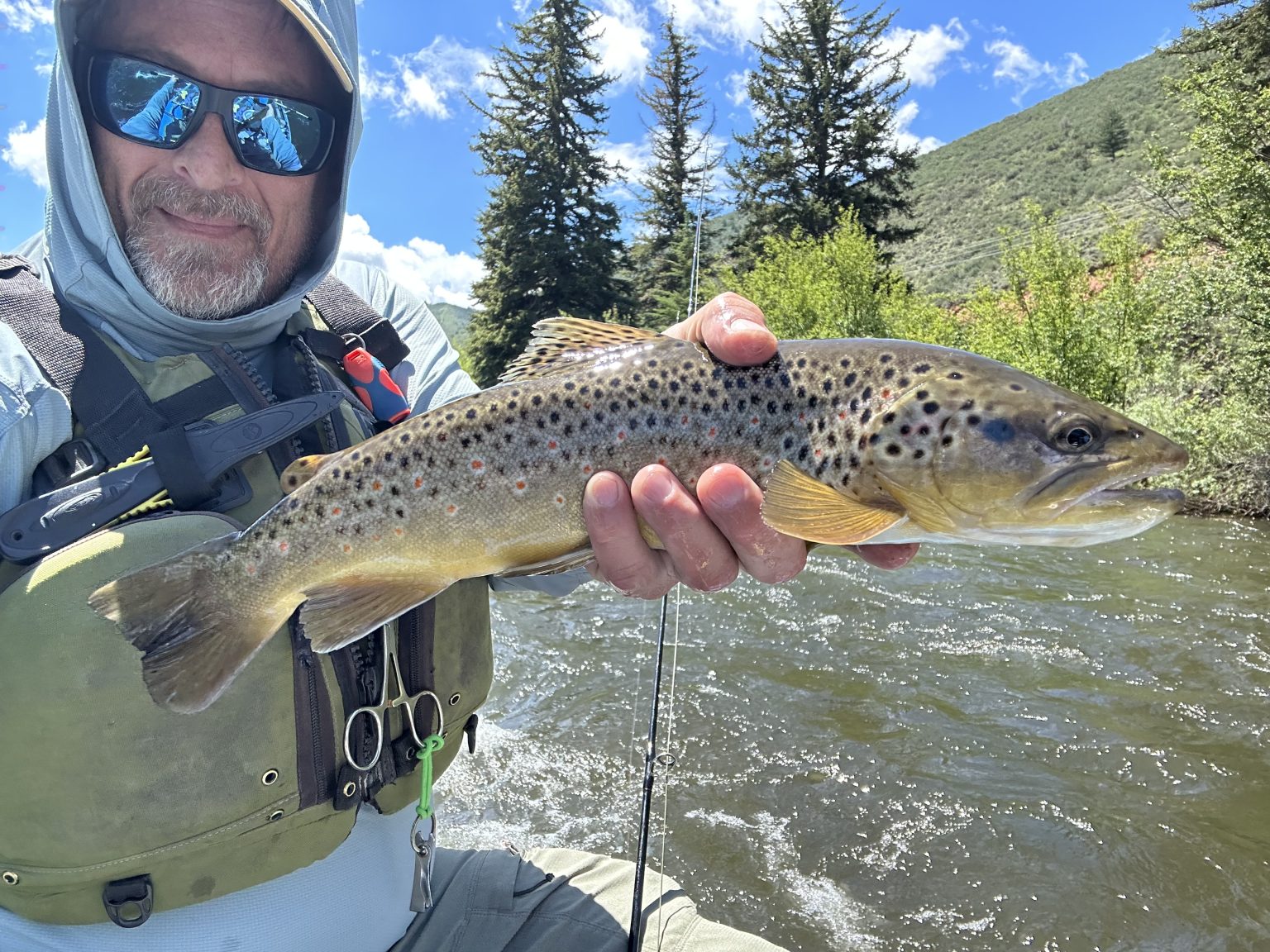 Salomone: Mayflies are Julyflies too | VailDaily.com