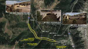 Vail Pass camera captures one of Colorado’s new wolves | VailDaily.com