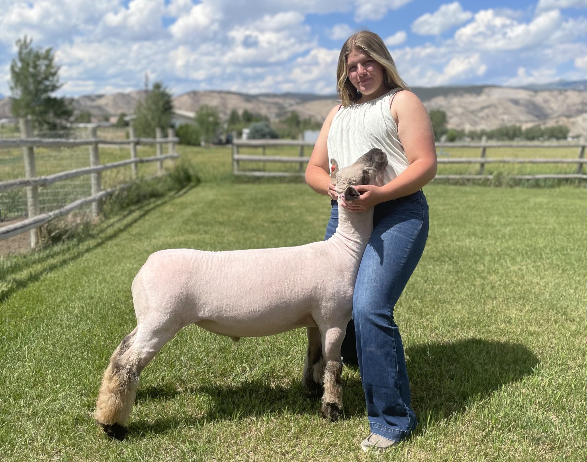 Hundreds of 4-H kids prepare for the Eagle County Fair & Rodeo ...