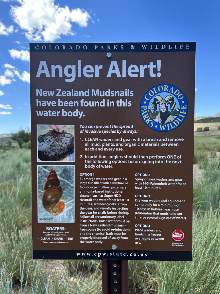 Salomone: Hazards to our fishing | VailDaily.com