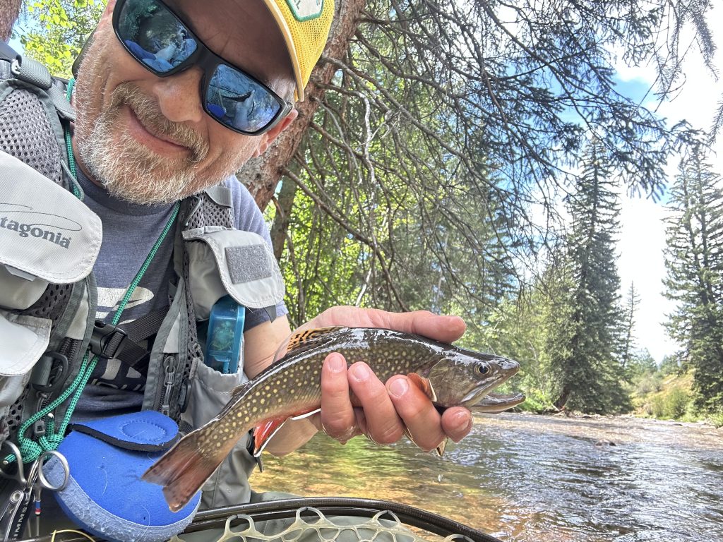 Salomone: Terrestrials on the Gore | VailDaily.com