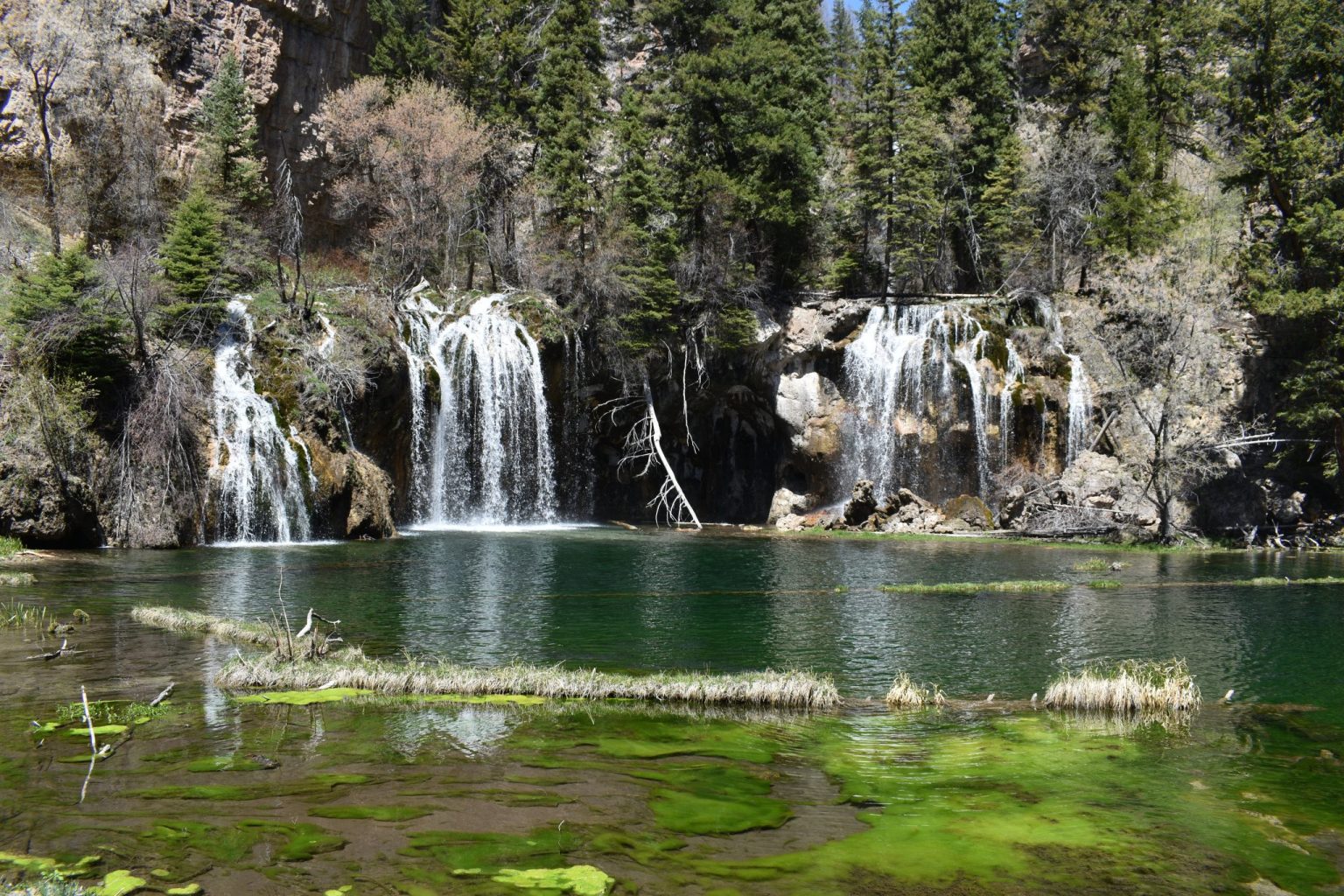 Summer reservations open for popular White River National Forest ...