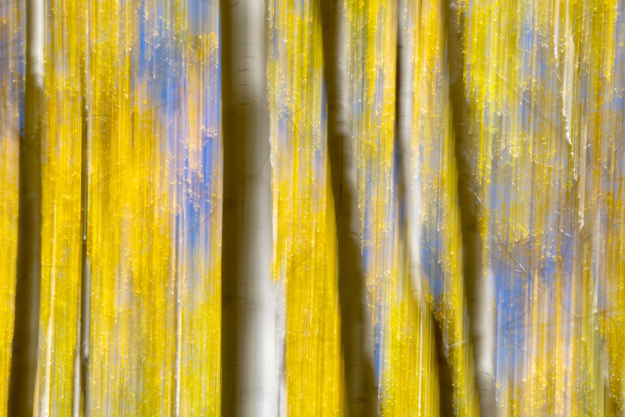 Gallery in Minturn explores the abstract and the everyday | VailDaily.com