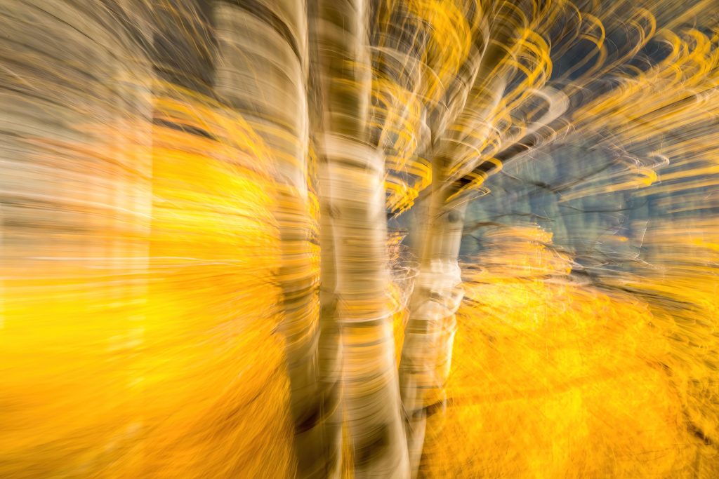 Gallery in Minturn explores the abstract and the everyday | VailDaily.com