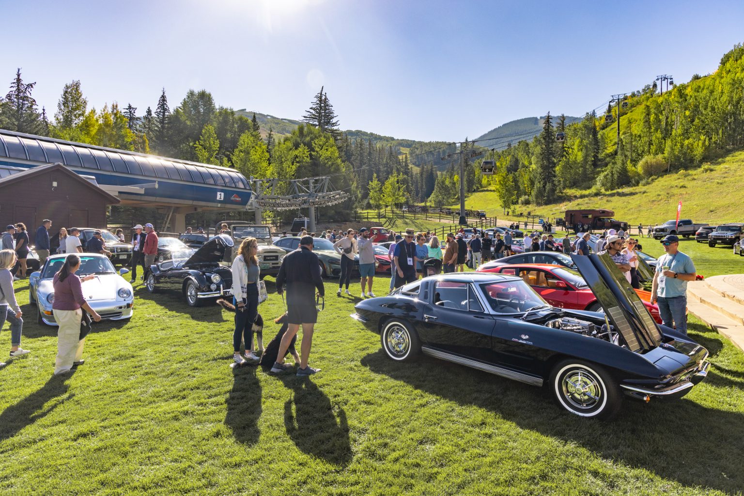PHOTOS: Super cars and vintage collector cars sparkle at Gondola One ...