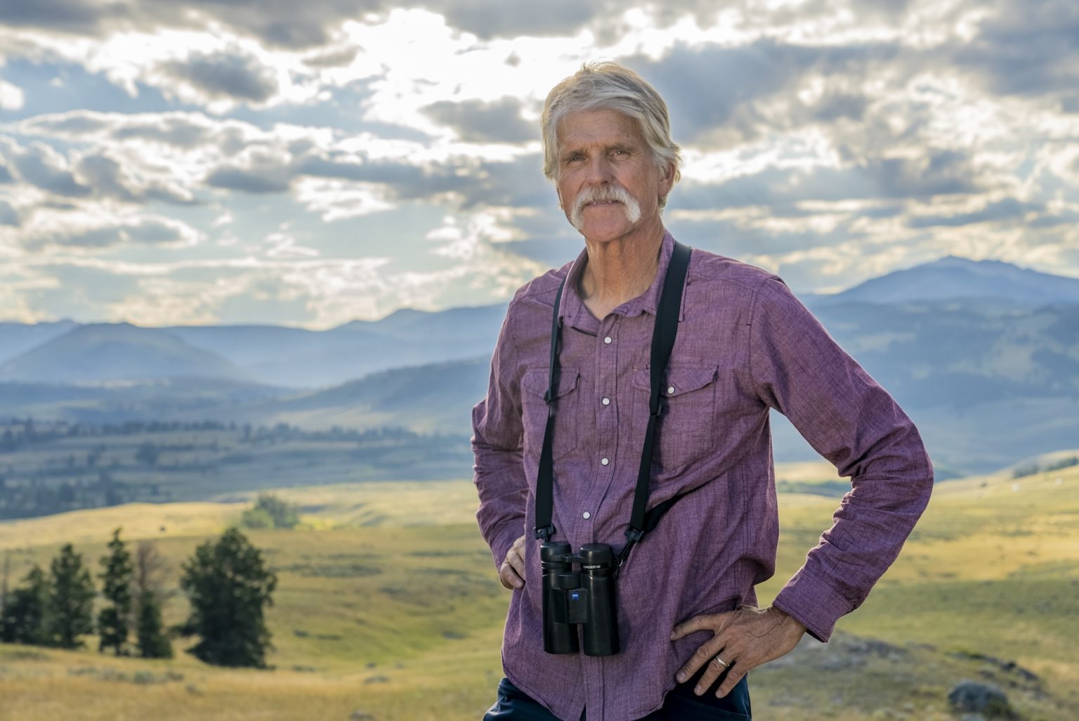 Learn about the wolves of Yellowstone at the Vilar Performing Arts ...
