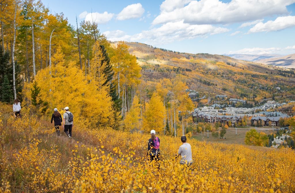 This weekend in the Vail Valley: Check out peeping awesome views ...