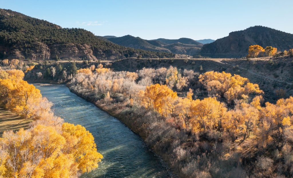 Trust Our Land: Land & Rivers Fund protects local habitat and waterways ...