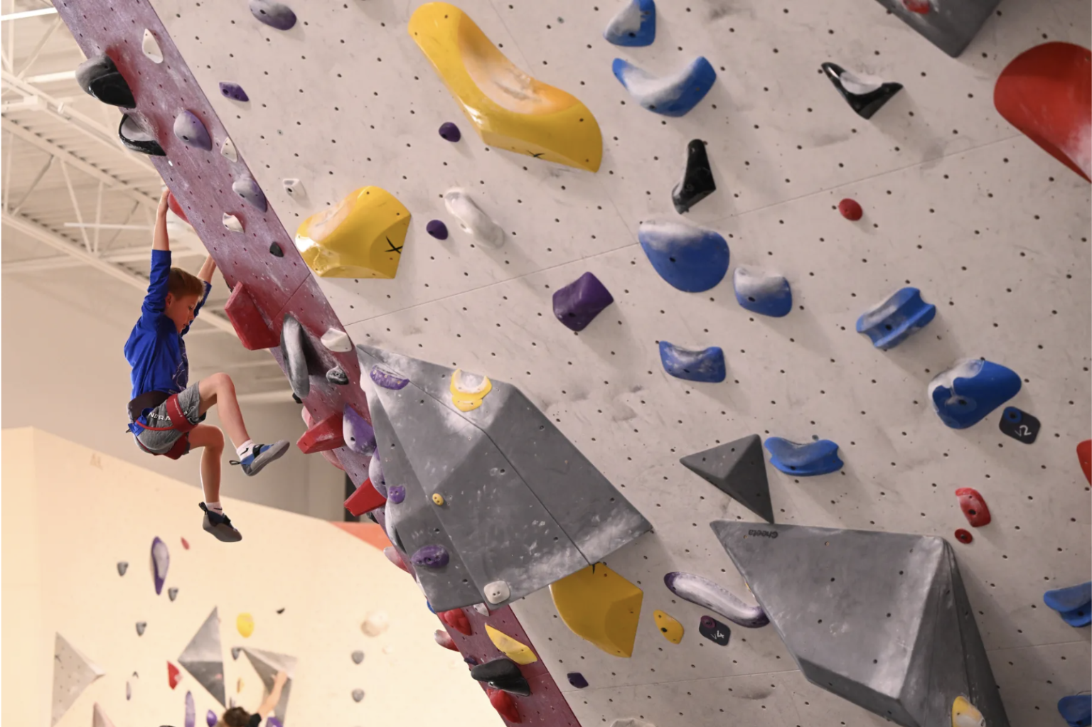 Climbing wall industry in Colorado continues its upward momentum ...