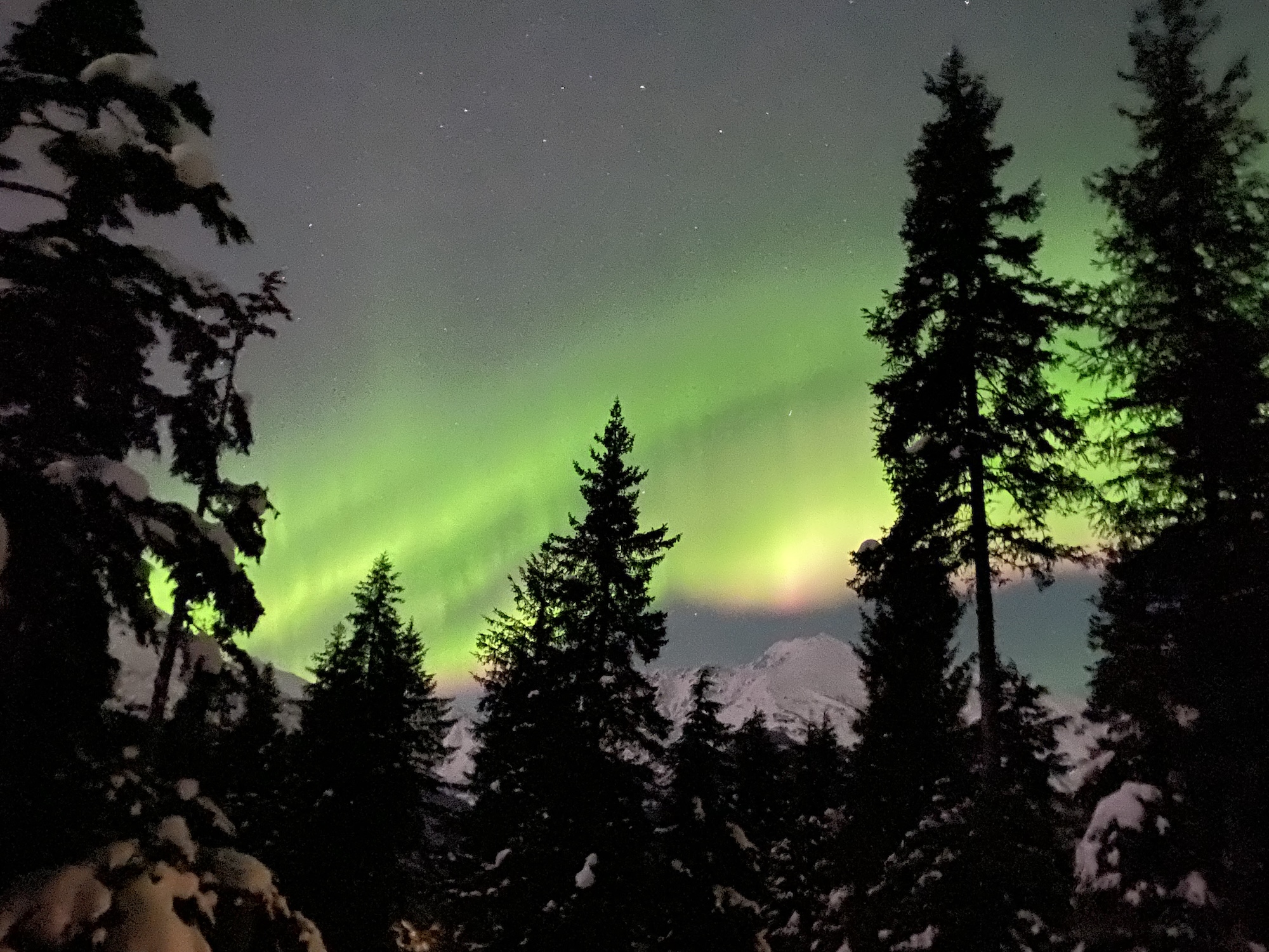 Writers on the Range: Savoring the darkness in Alaska | VailDaily.com