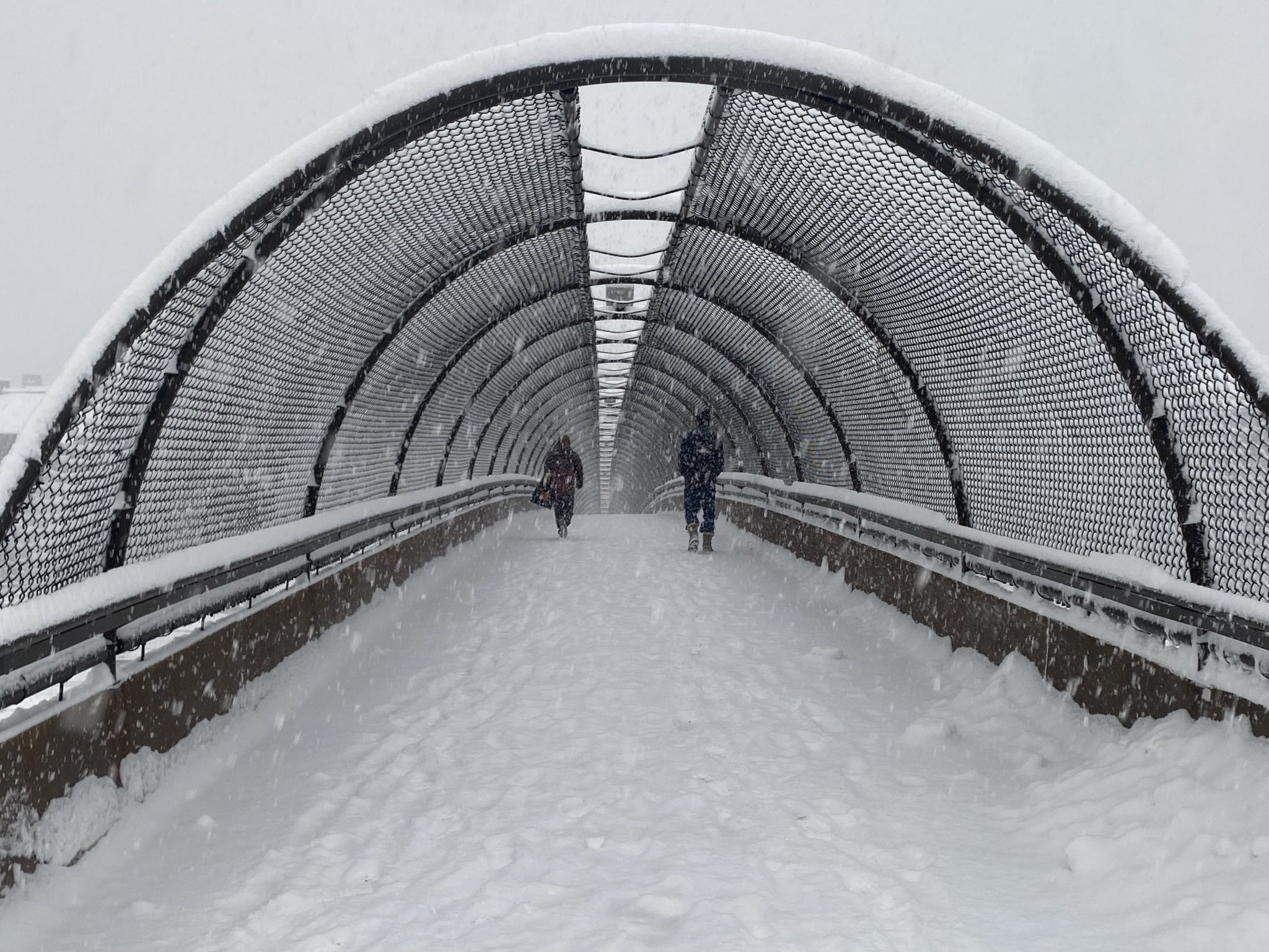 Vail Mountain approaches 200 inches of snow for 2024-25 season as big ...