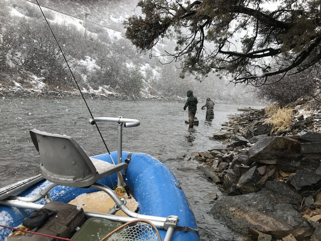 Salomone: Midges, midges and more midges. | VailDaily.com