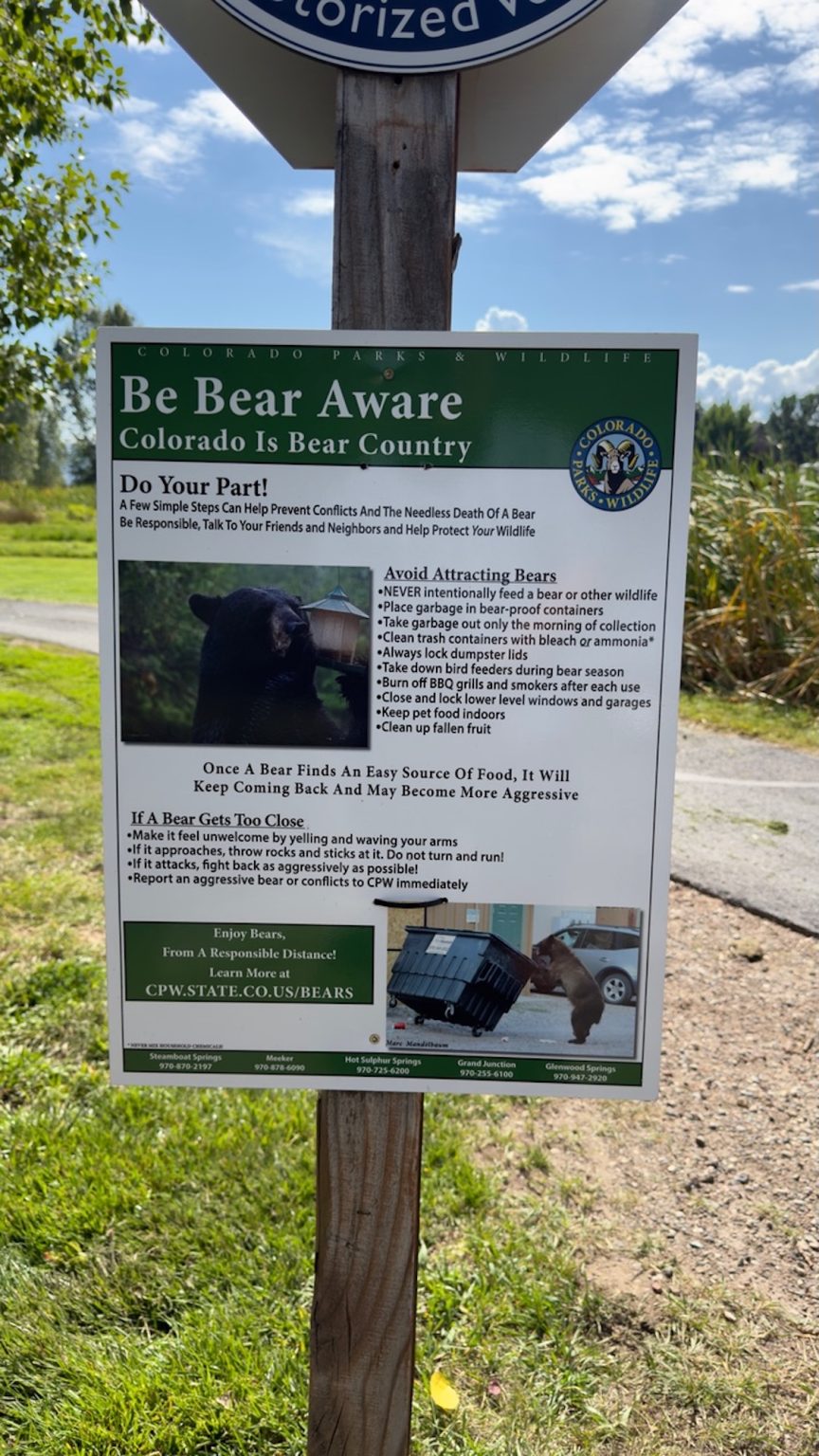 Spring is in the air, and here come the bears | VailDaily.com