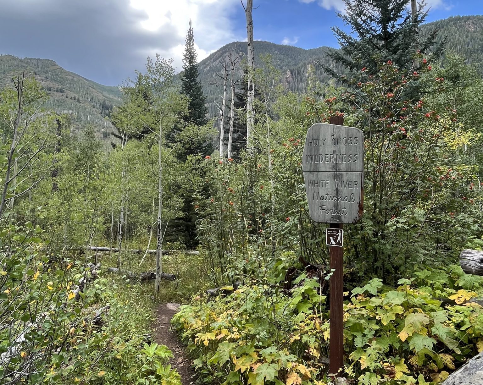 Over 1.1 million acres of Colorado forests have been treated for health ...