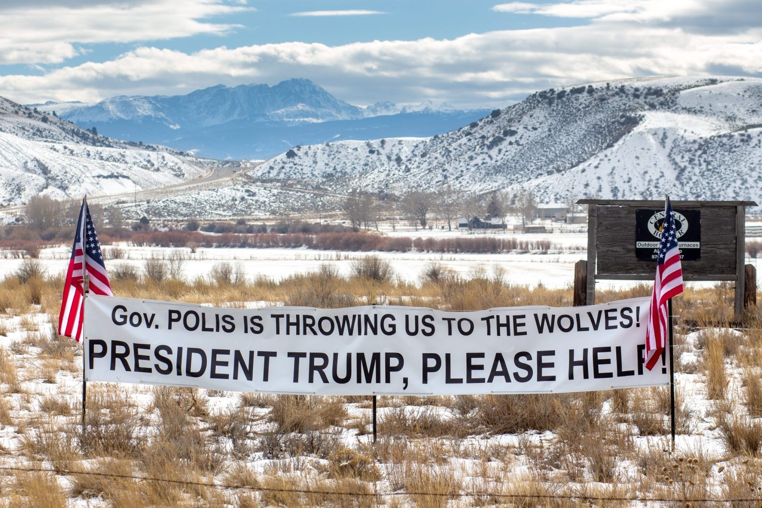 Colorado Rep. Lauren Boebert’s bill to strip gray wolves of Endangered ...