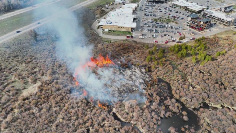 Summit Fire & EMS is investigating the cause of a wildfire that erupted ...