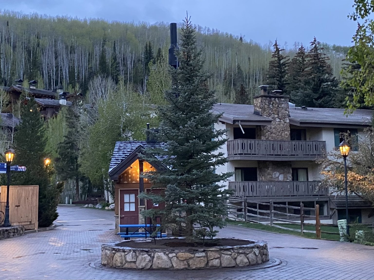 Vail’s Checkpoint Charlie gets a new Christmas tree | VailDaily.com
