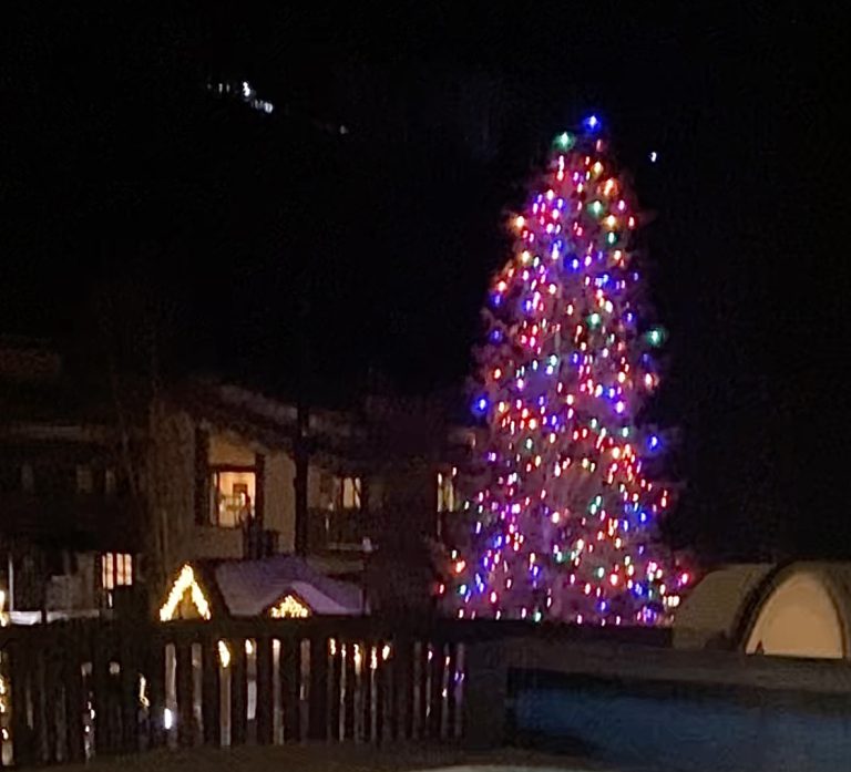 Vail’s Checkpoint Charlie gets a new Christmas tree | VailDaily.com