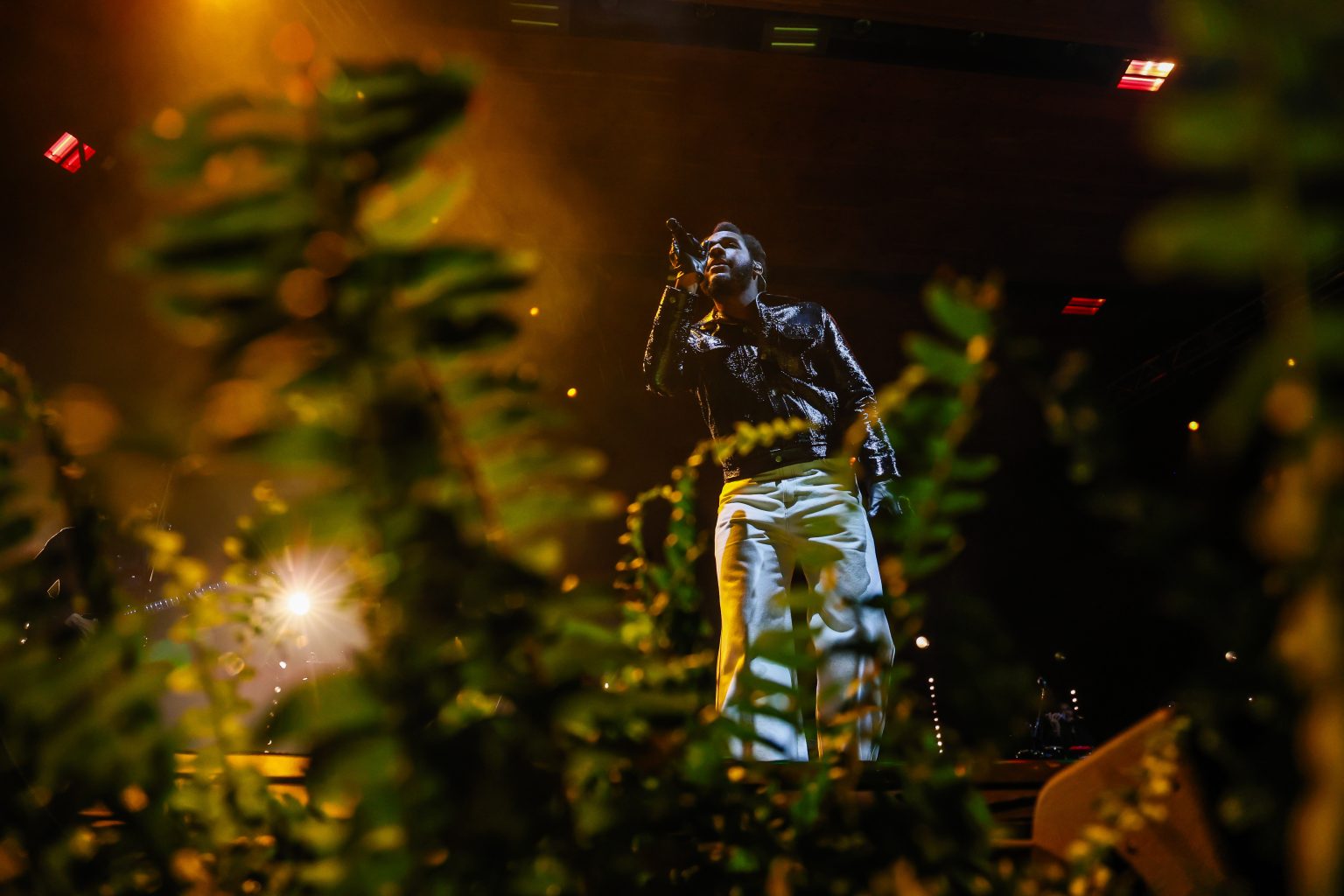 Gerald R. Ford Amphitheater kicks off a diverse summer concert season ...