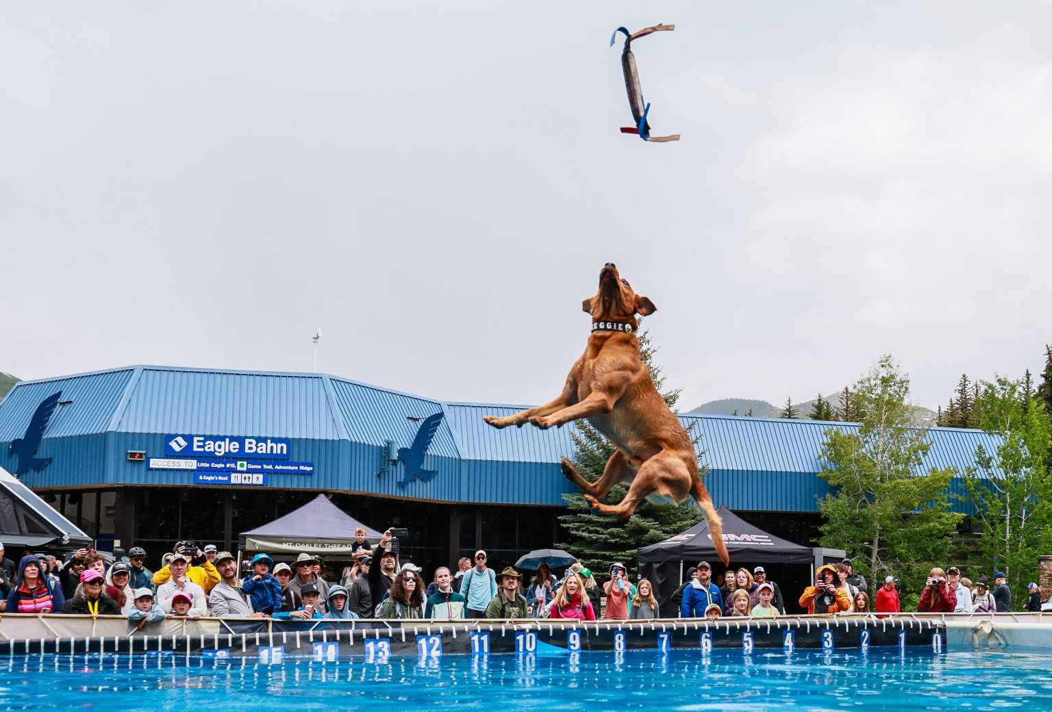 PHOTOS: Dogs add to the fun on Day 2 at the GoPro Mountain Games in ...