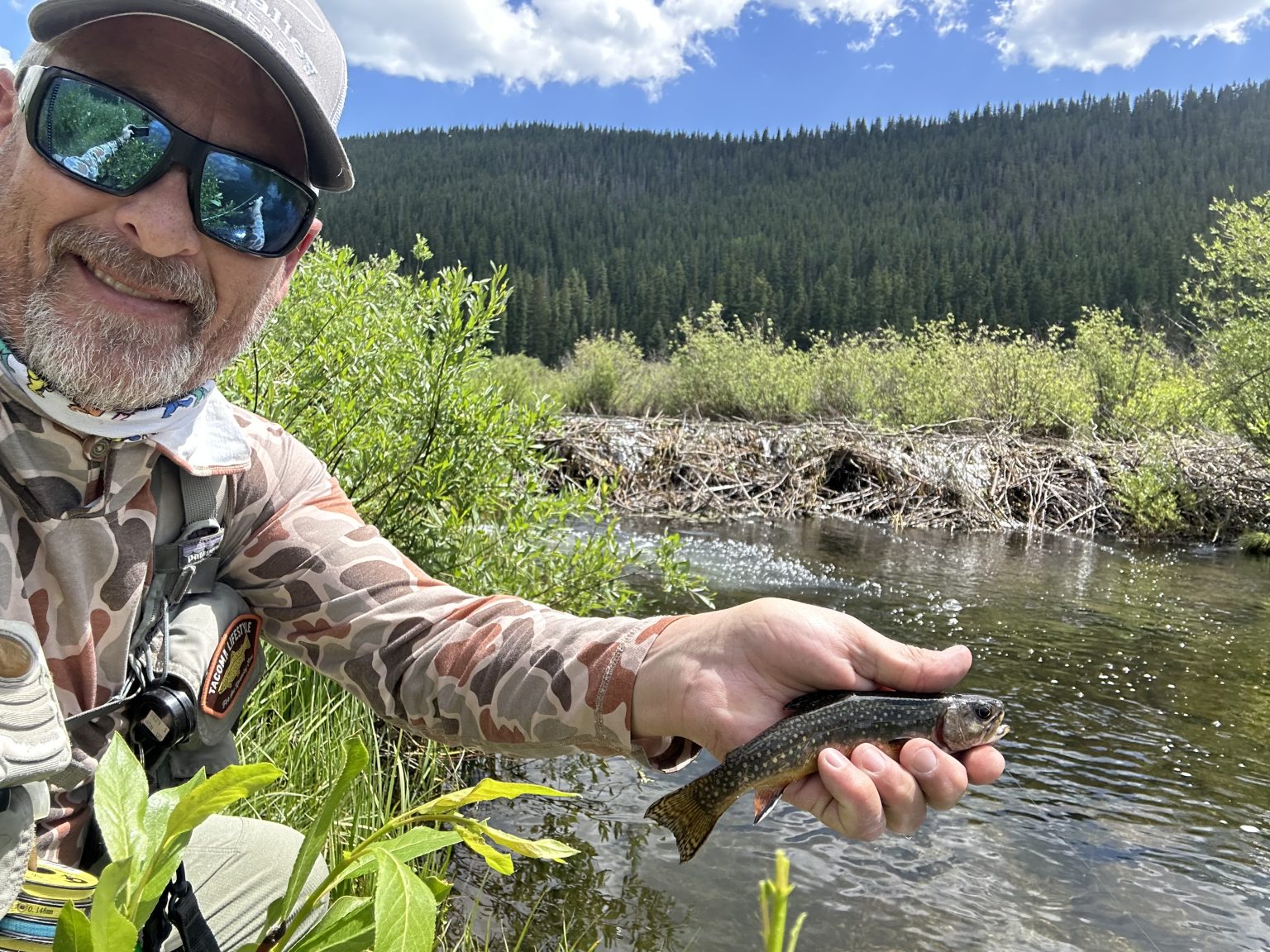 Salomone: Benefits of beaver ponds | VailDaily.com