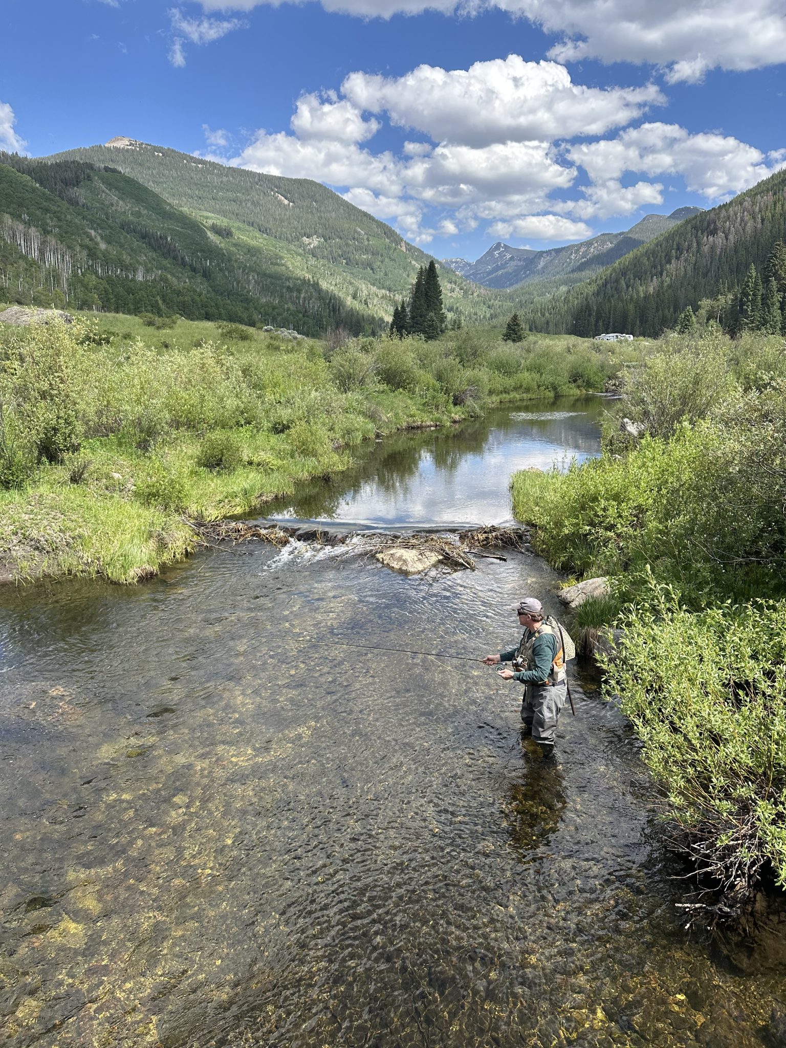Salomone: Benefits of beaver ponds | VailDaily.com