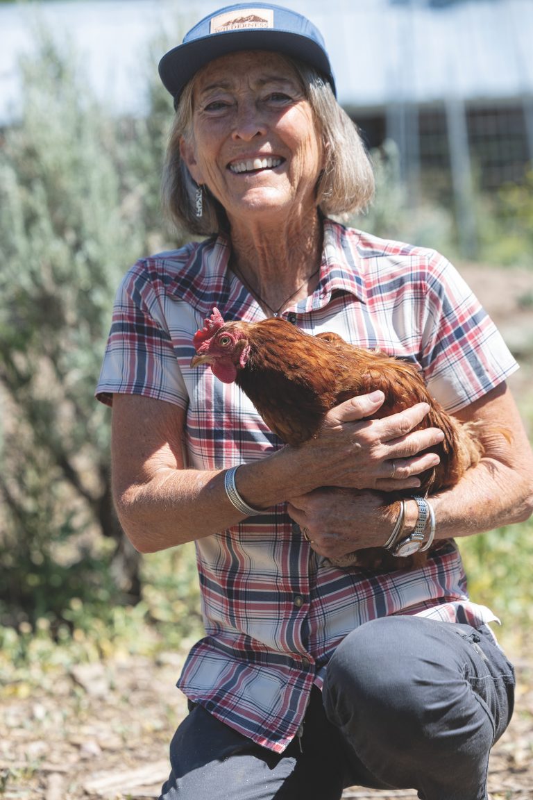 Minding the coop: The Vail Valley can be a great place to raise ...