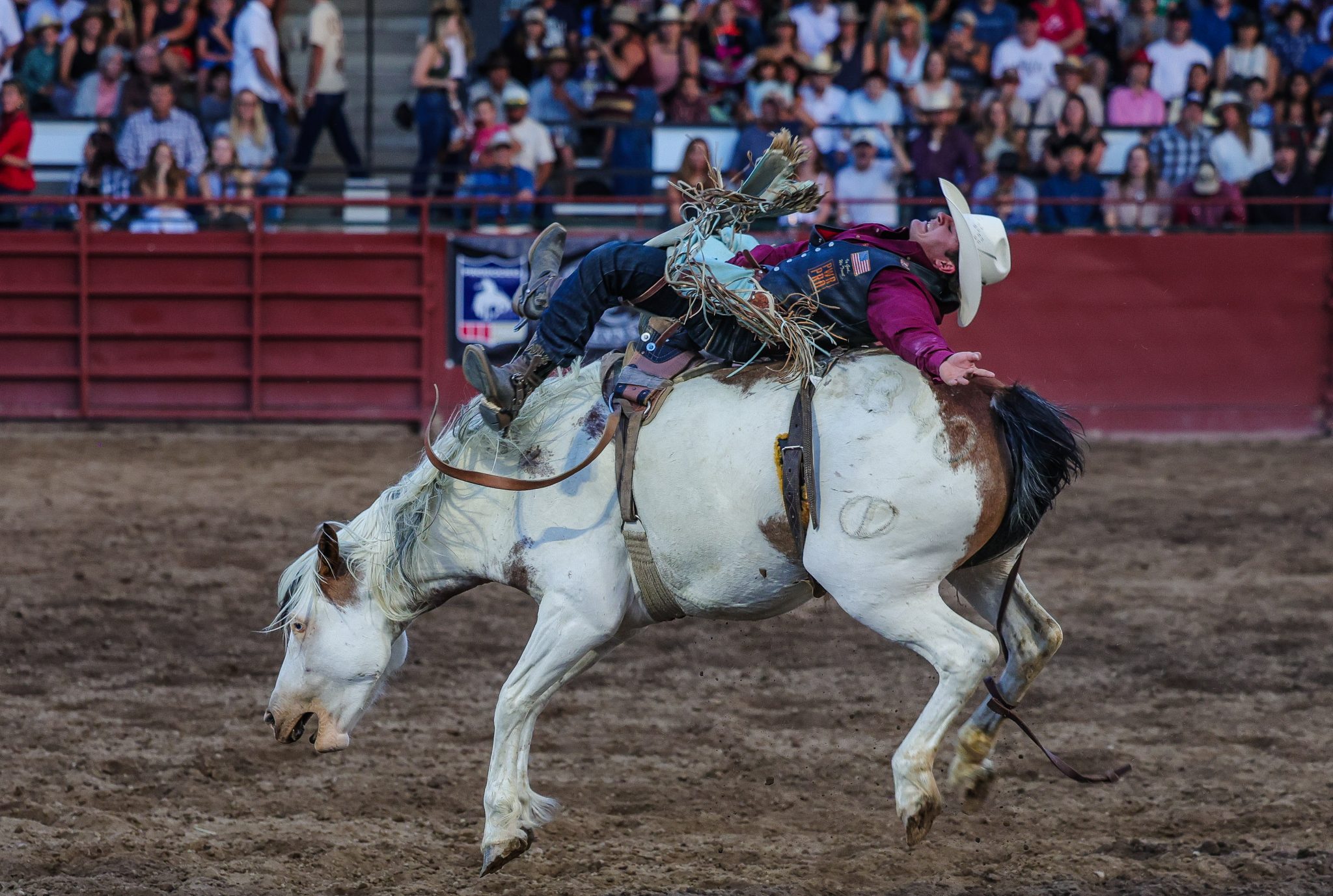 PHOTOS: 2025 Eagle County Fair and Rodeo kicks off with pageantry ...
