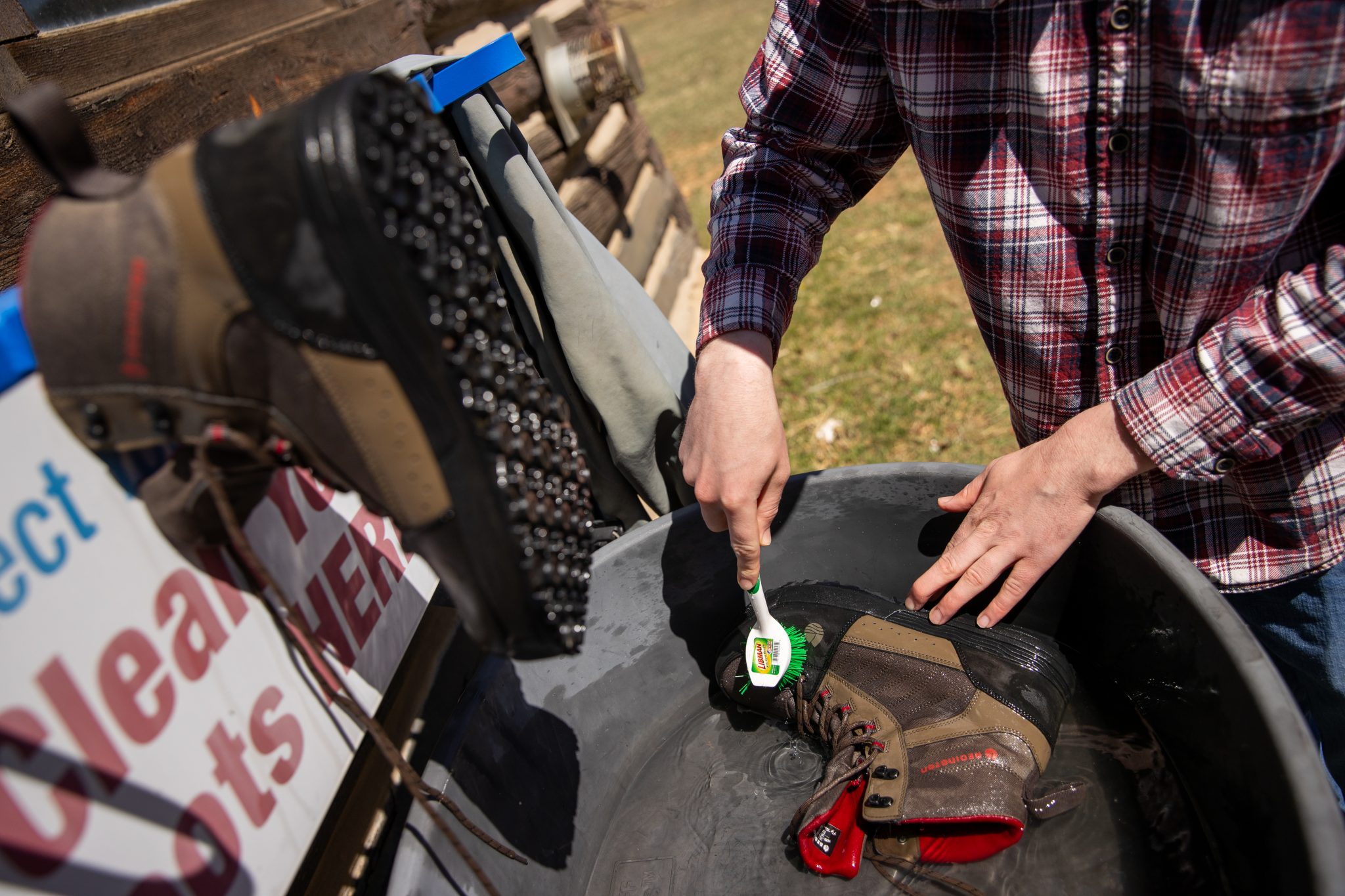 What you need to know about the invasive zebra mussels taking hold ...