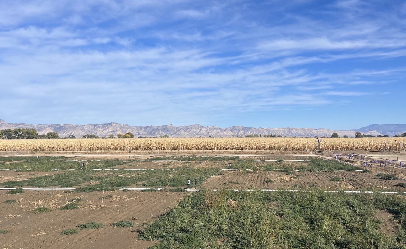 Colorado’s soil health program takes a hit as the federal government ...