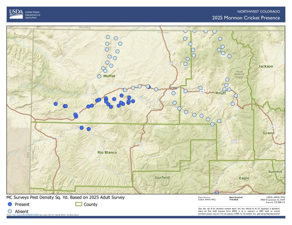 Will this year be boom or bust for Colorado’s grasshopper populations ...