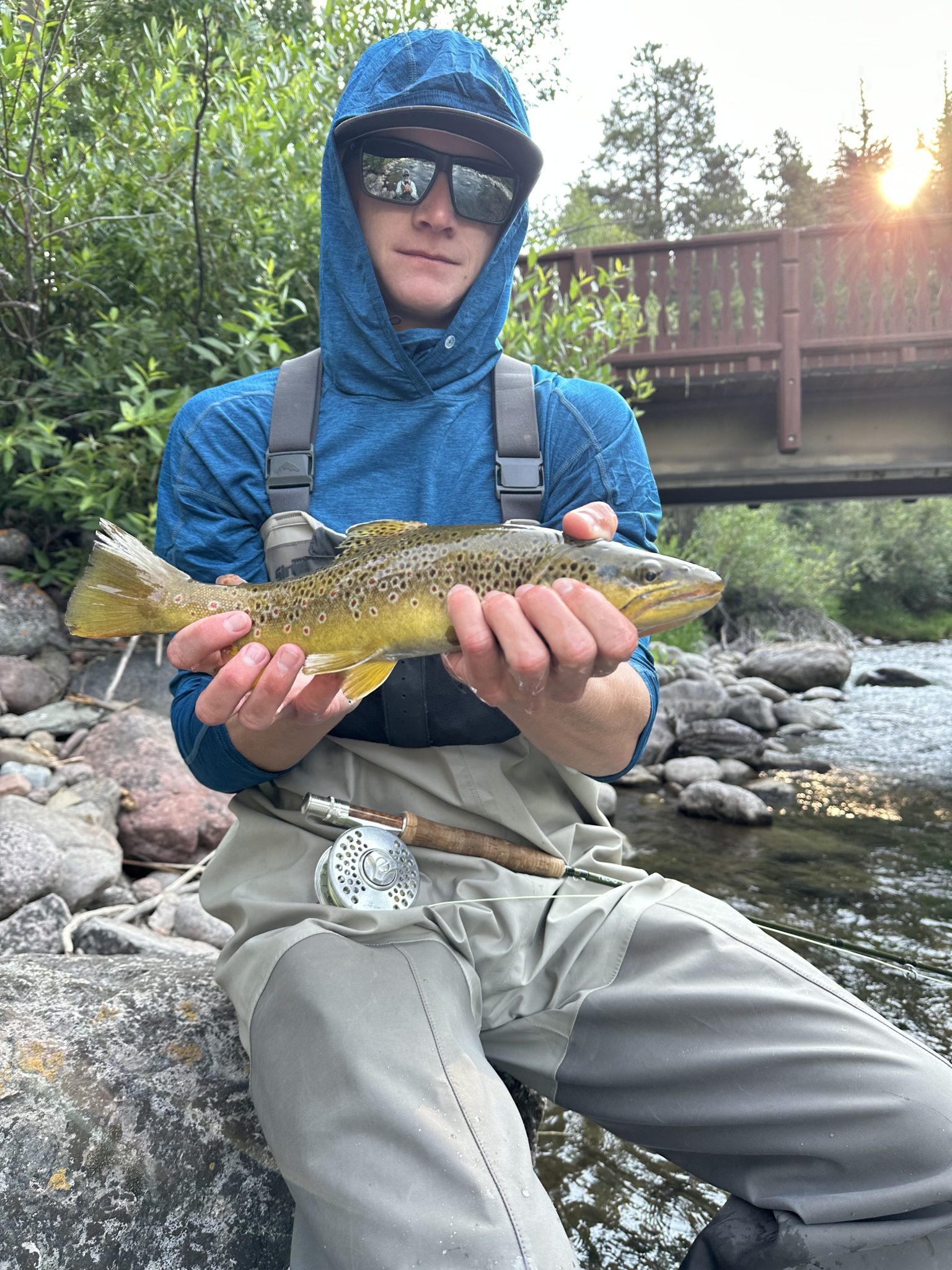 Salomone: Emergers — caddis, mayflies and midges | VailDaily.com