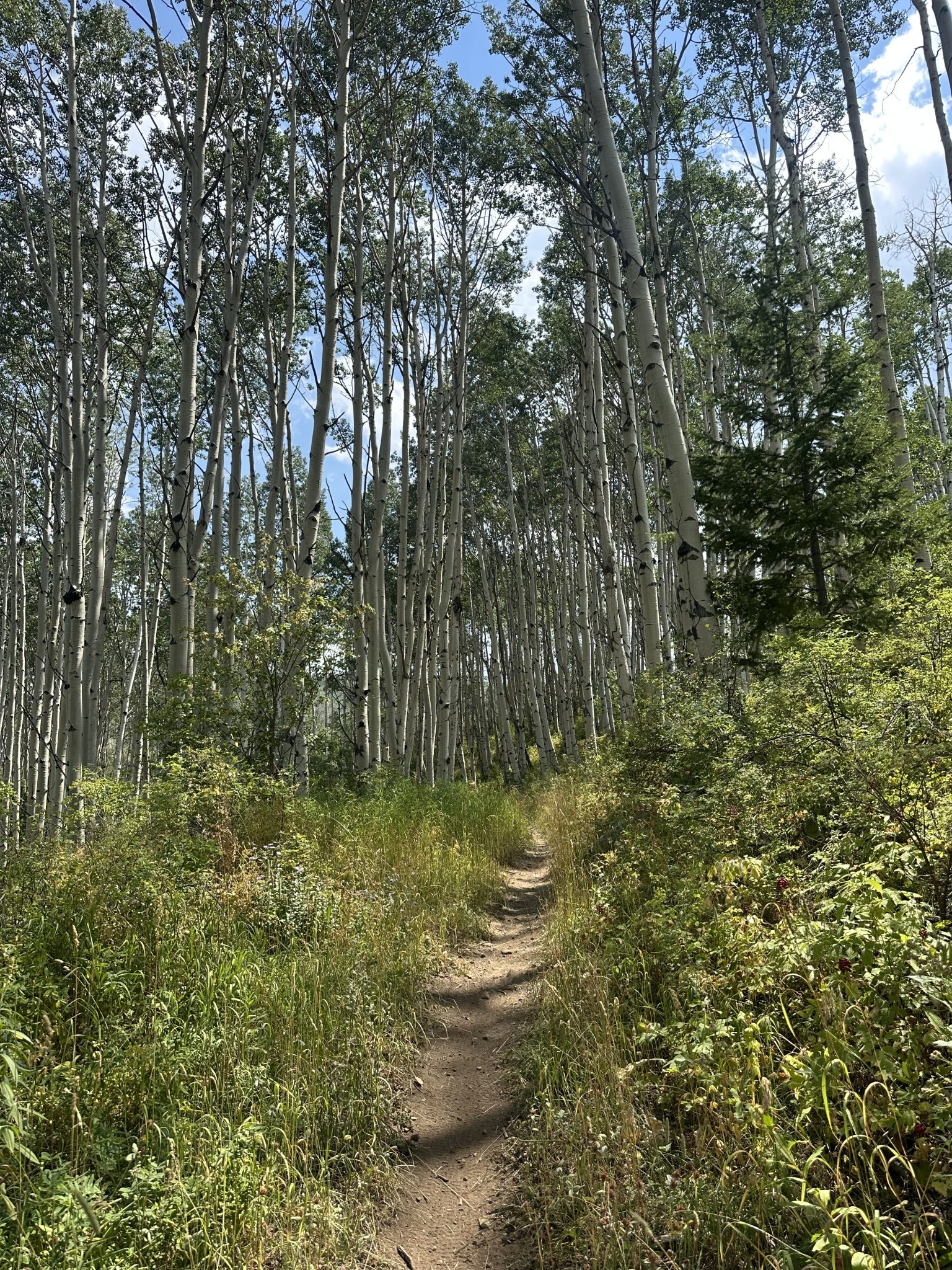 Vail Recreation District will utilize new trail at Arrowhead for half ...