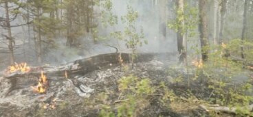 Monsoonal rains slow Derby Fire spread as officials brace for new ...