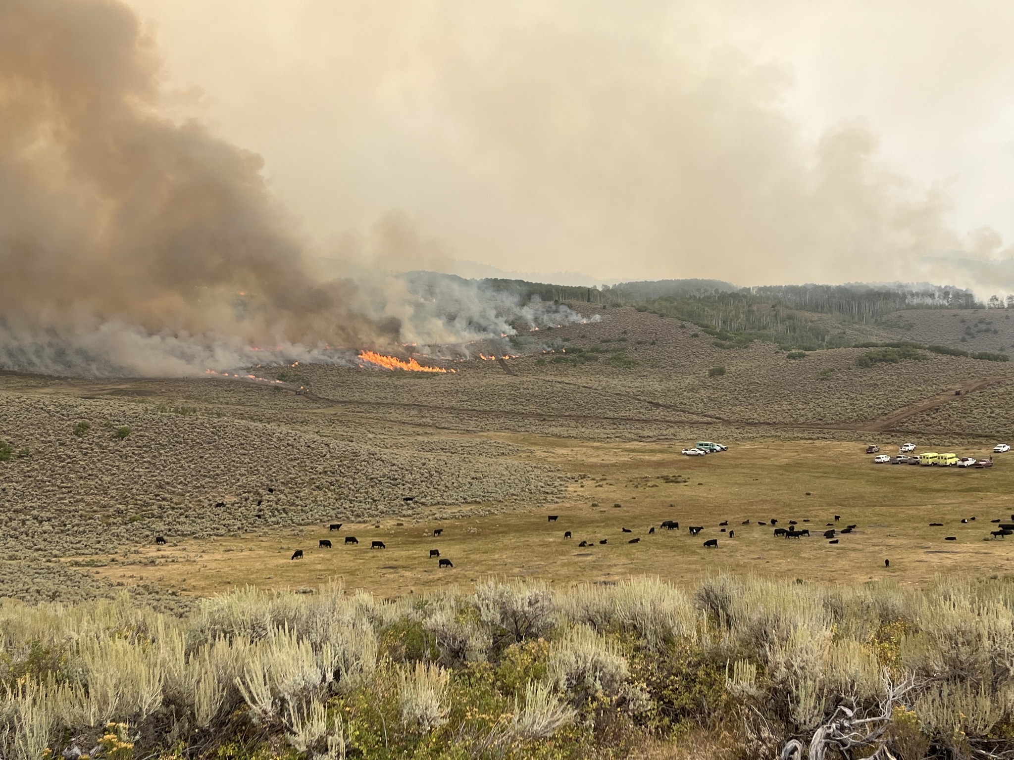 Several wildfires burning on Colorado’s Western Slope, including blaze ...