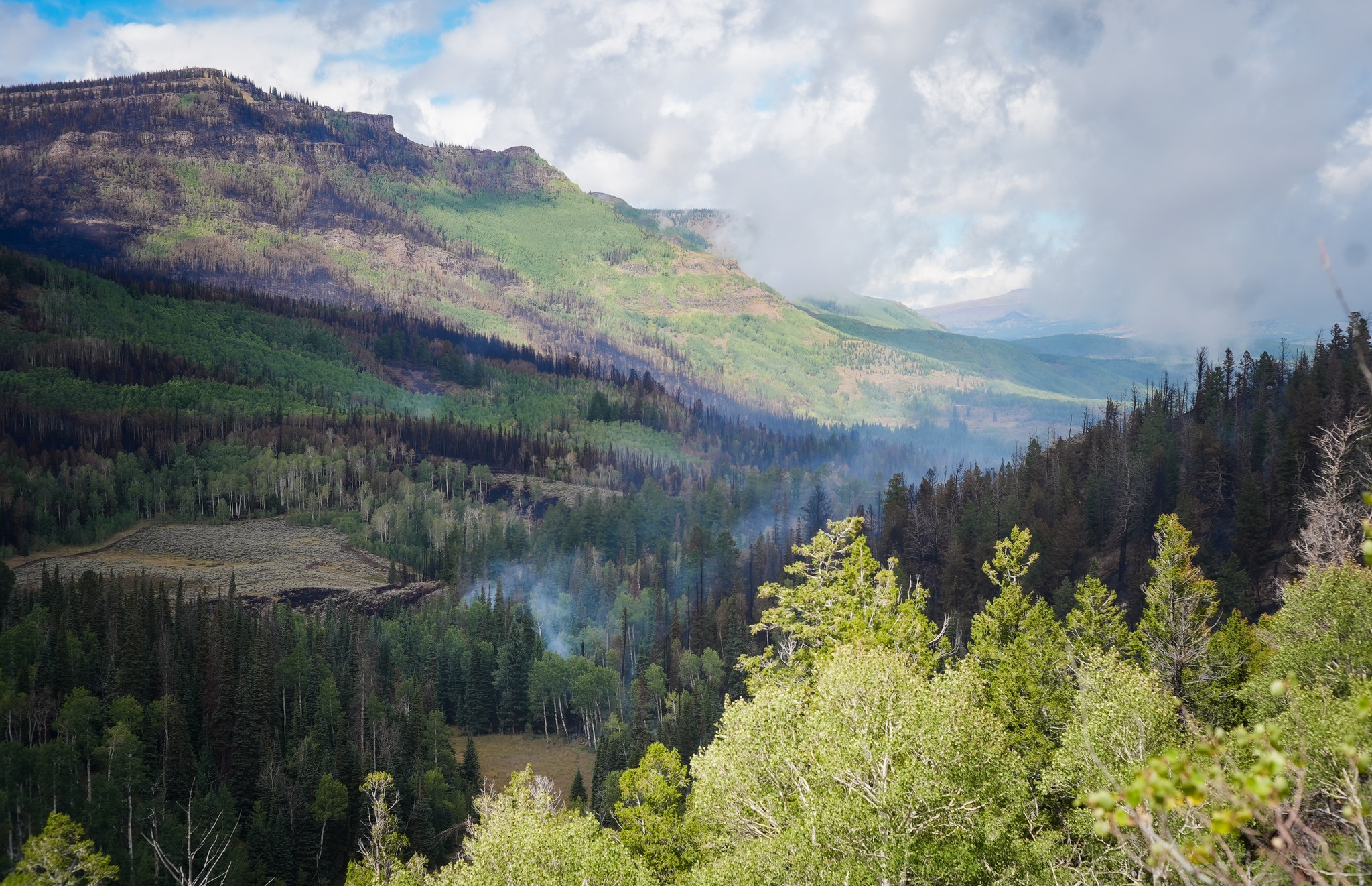 Derby Fire containment grows to 5%, with more increases expected in ...