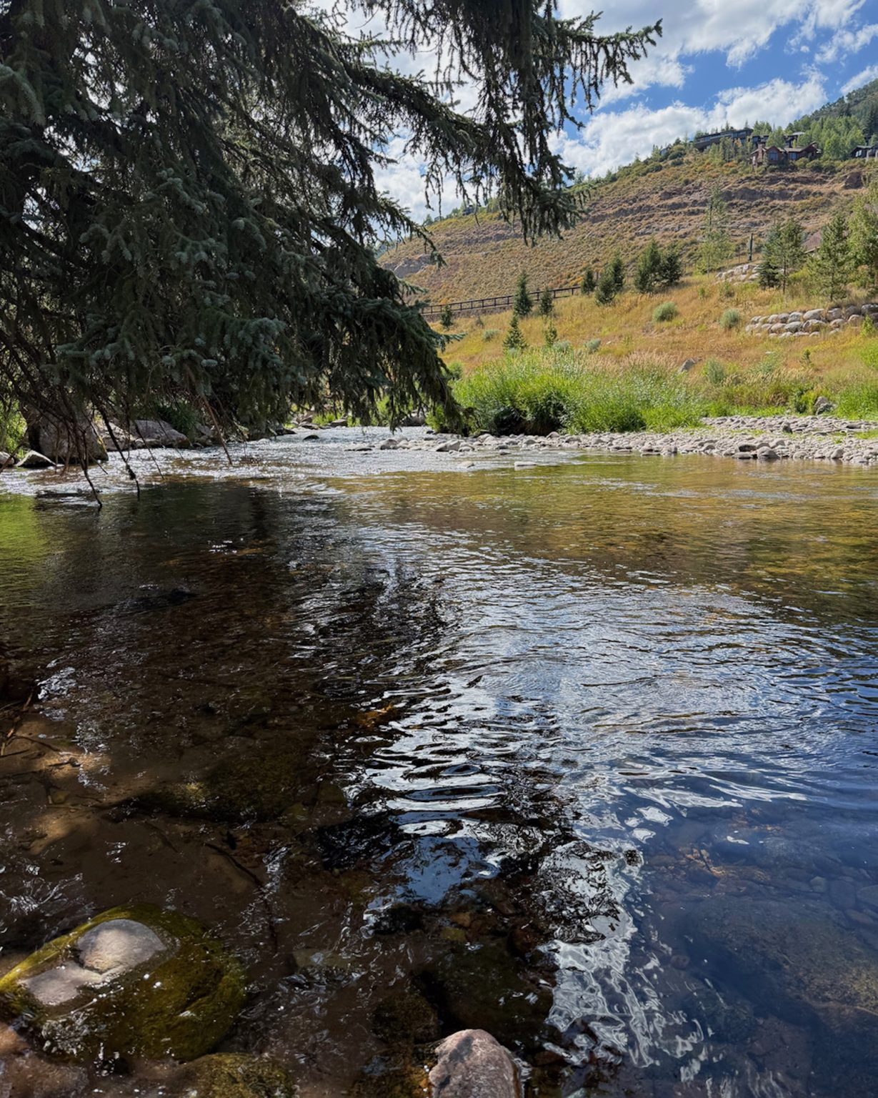 How you can help keep our waterways and riparian zones healthy in Eagle ...