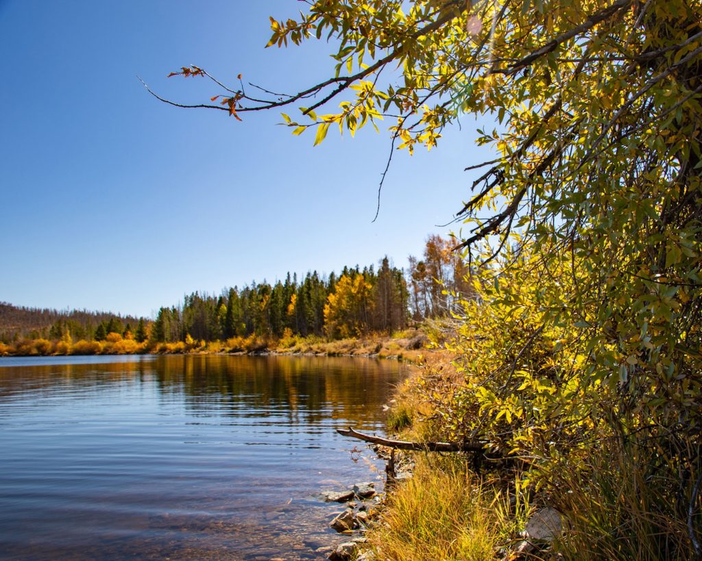 How you can help keep our waterways and riparian zones healthy in Eagle ...