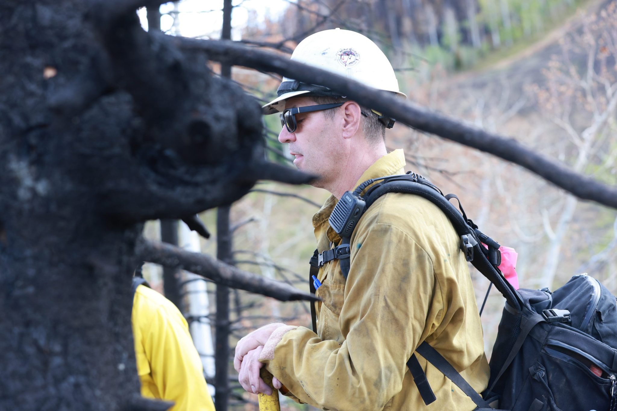 Crosho Fire leaves burn scar; but sparks new growth | VailDaily.com