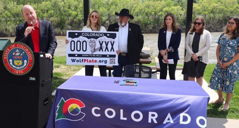 Sales of Colorado’s wolf license plate surpass $1 million | VailDaily.com