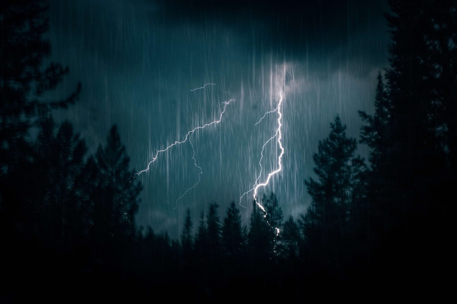 From flash to fertilizer: How lightning feeds plants | VailDaily.com