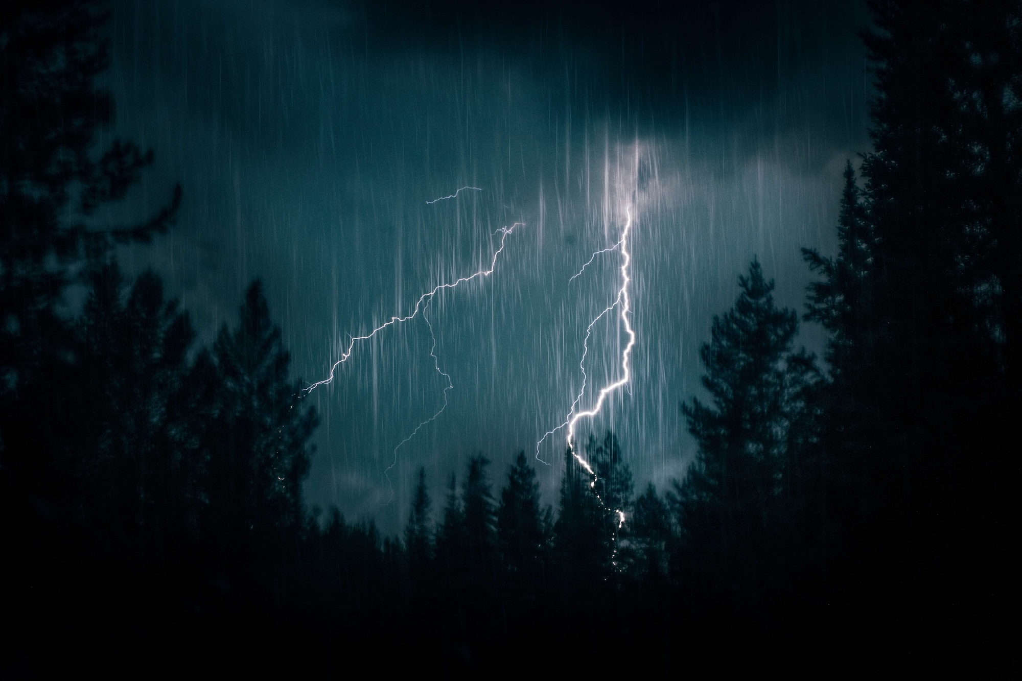From flash to fertilizer: How lightning feeds plants | VailDaily.com