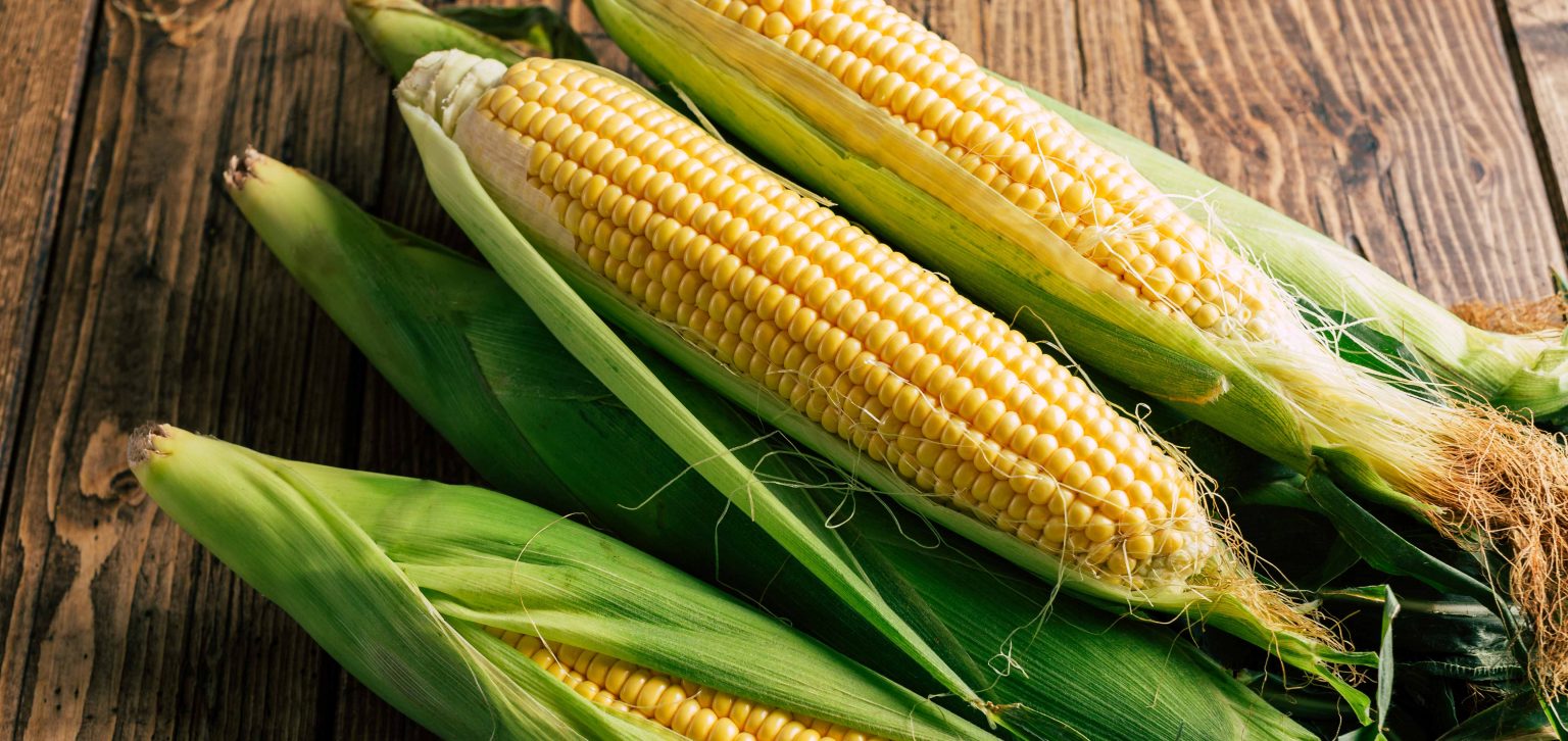 A history of corn that’s got the world all ears | VailDaily.com