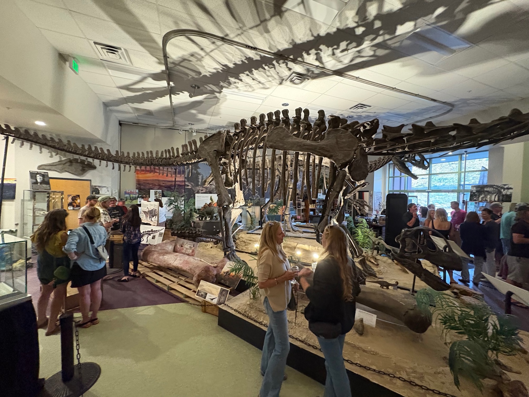 Museum at Dinosaur Junction in Edwards to host Winos & Dinos fundraiser ...