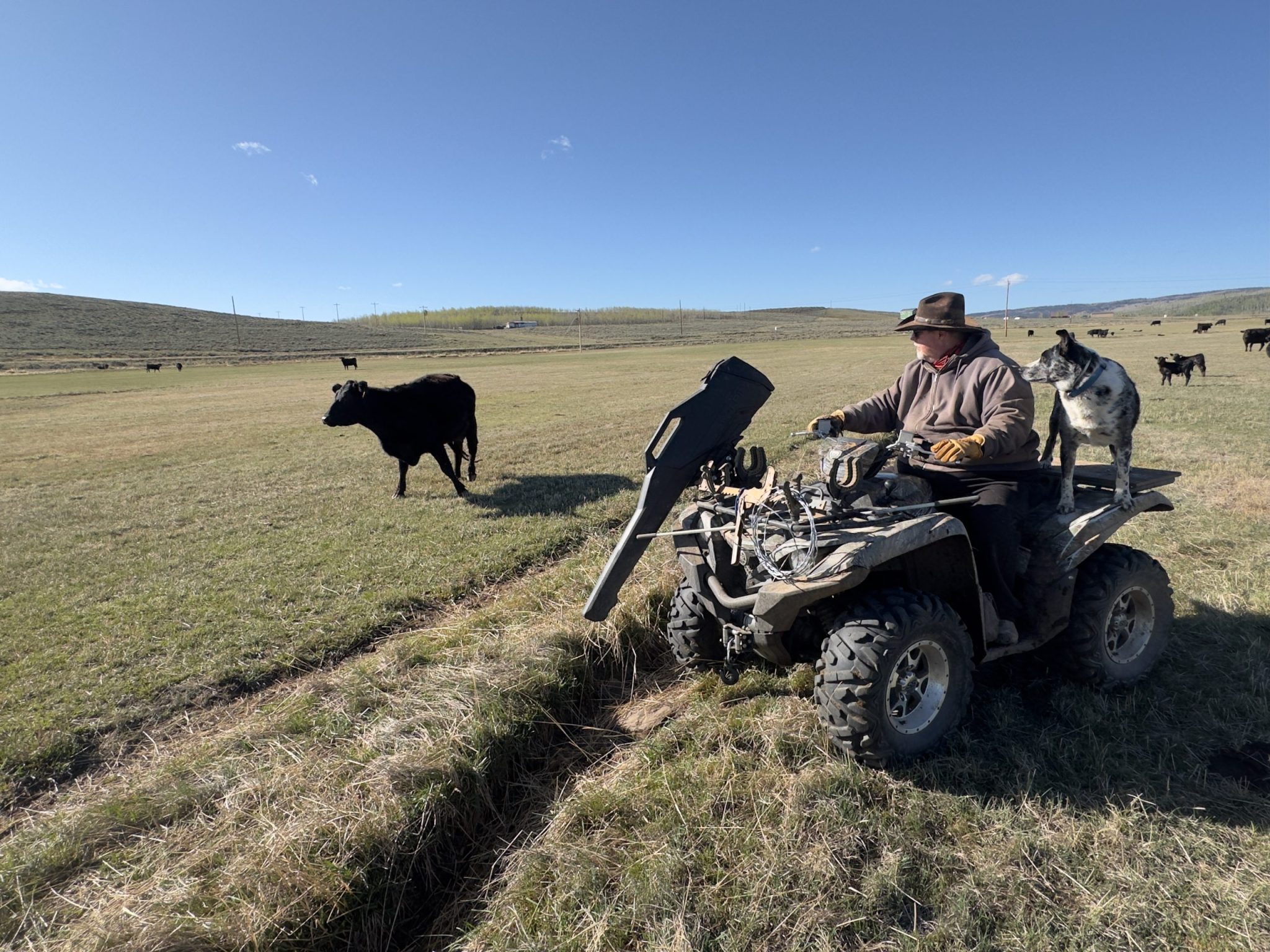 How a Grand County resident is using collaboration, AI and new tech to ...